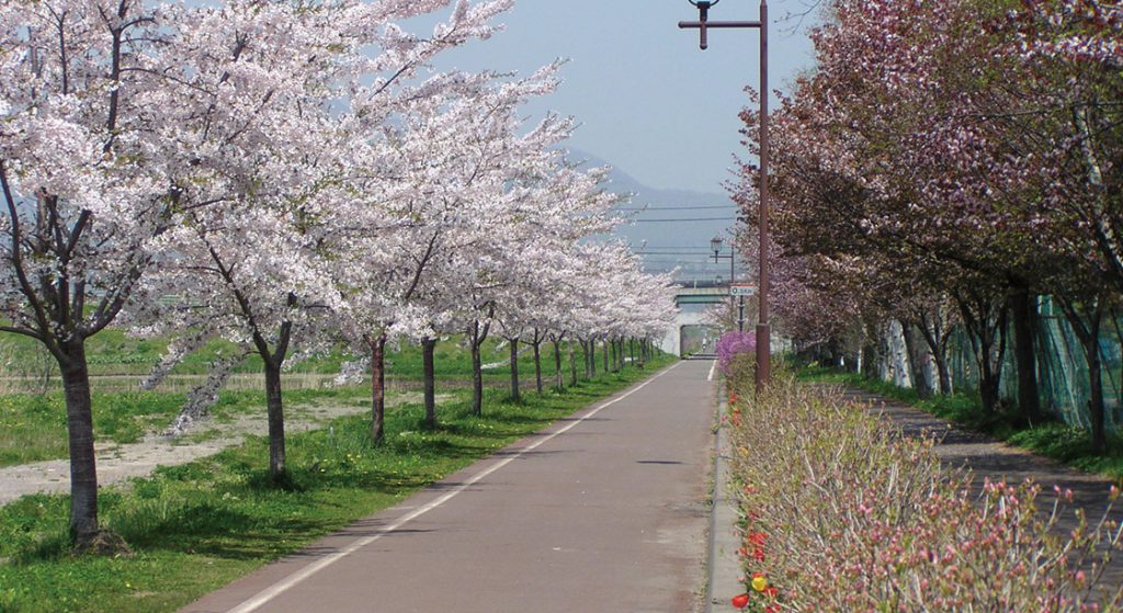 The Hot Springs of Toya-Usu UNESCO Global Geopark ｜ TOYA Colors